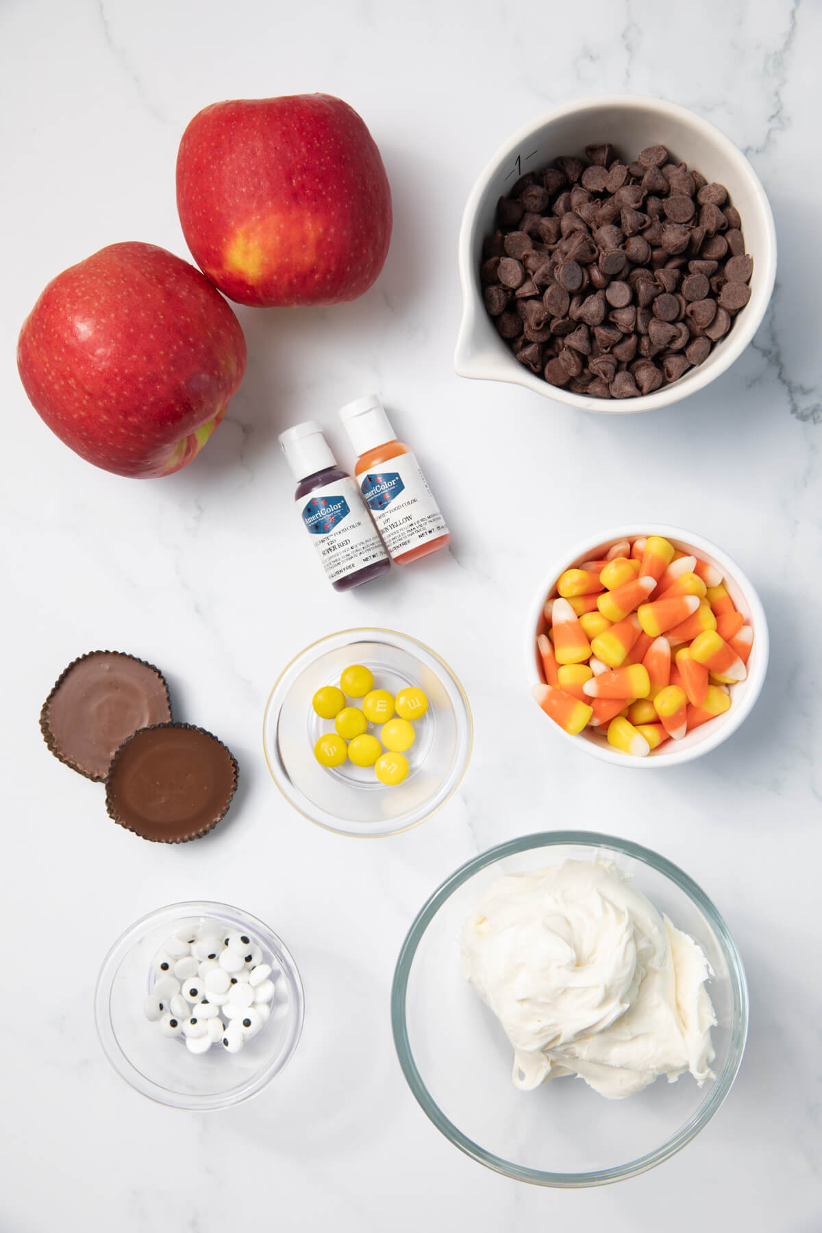 Chocolate Covered Apple Slice Turkey Treats