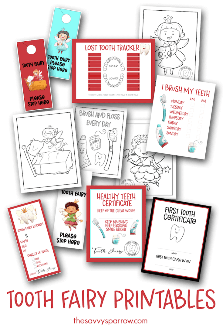 11 Tooth Fairy Ideas Your Kids will LOVE - with Printables!