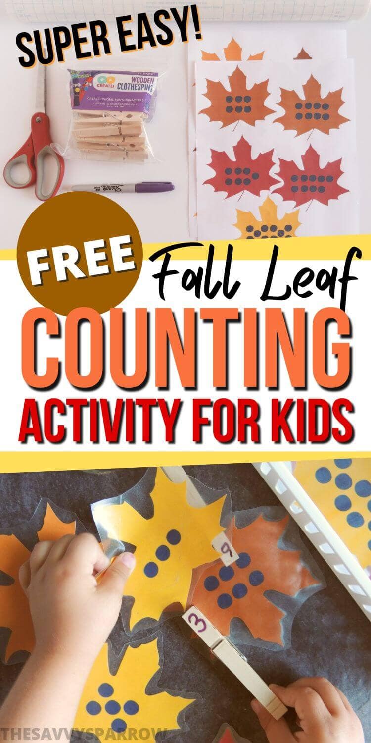 Easy Fall Number Matching Activity for Kids (Just a few supplies!)
