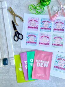 Spa Face Mask Gift Tags - Fun and Cheap Gifts for Teen Girls
