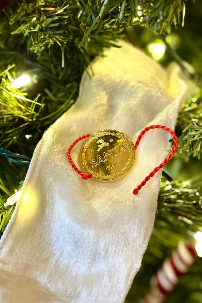 12 Santa Evidence Ideas Your Kids Will LOVE - The Savvy Sparrow