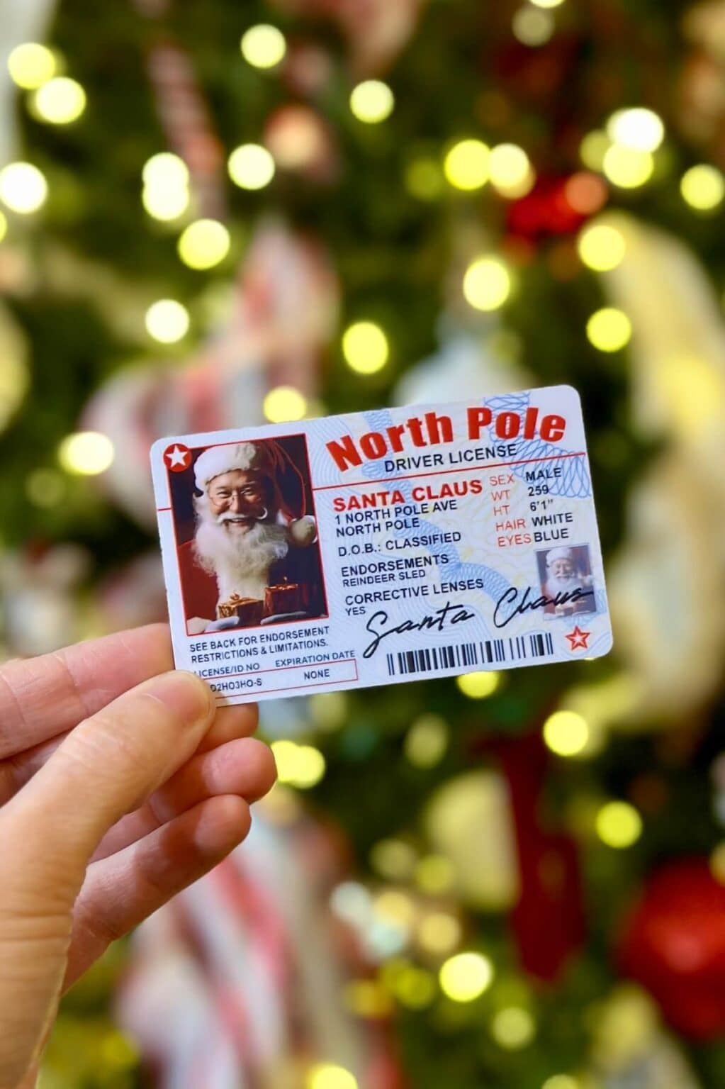 12 Santa Evidence Ideas Your Kids Will LOVE - The Savvy Sparrow