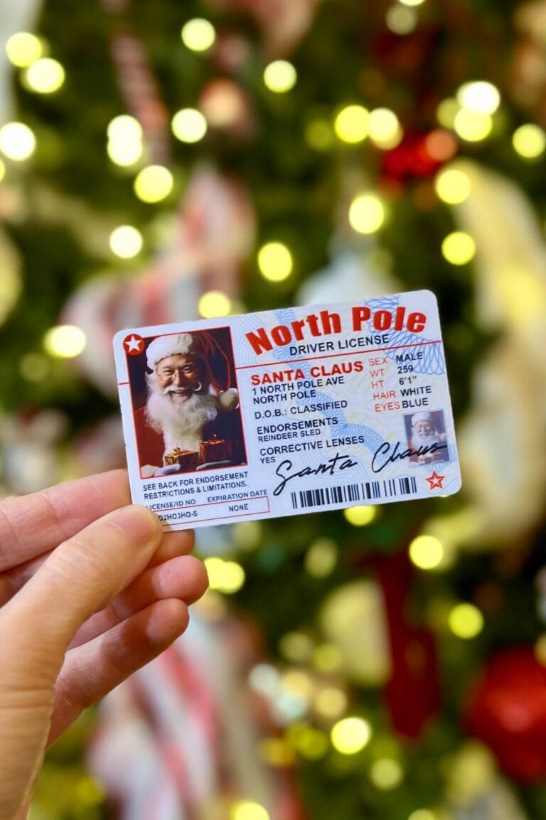 12 Santa Evidence Ideas Your Kids Will LOVE - The Savvy Sparrow