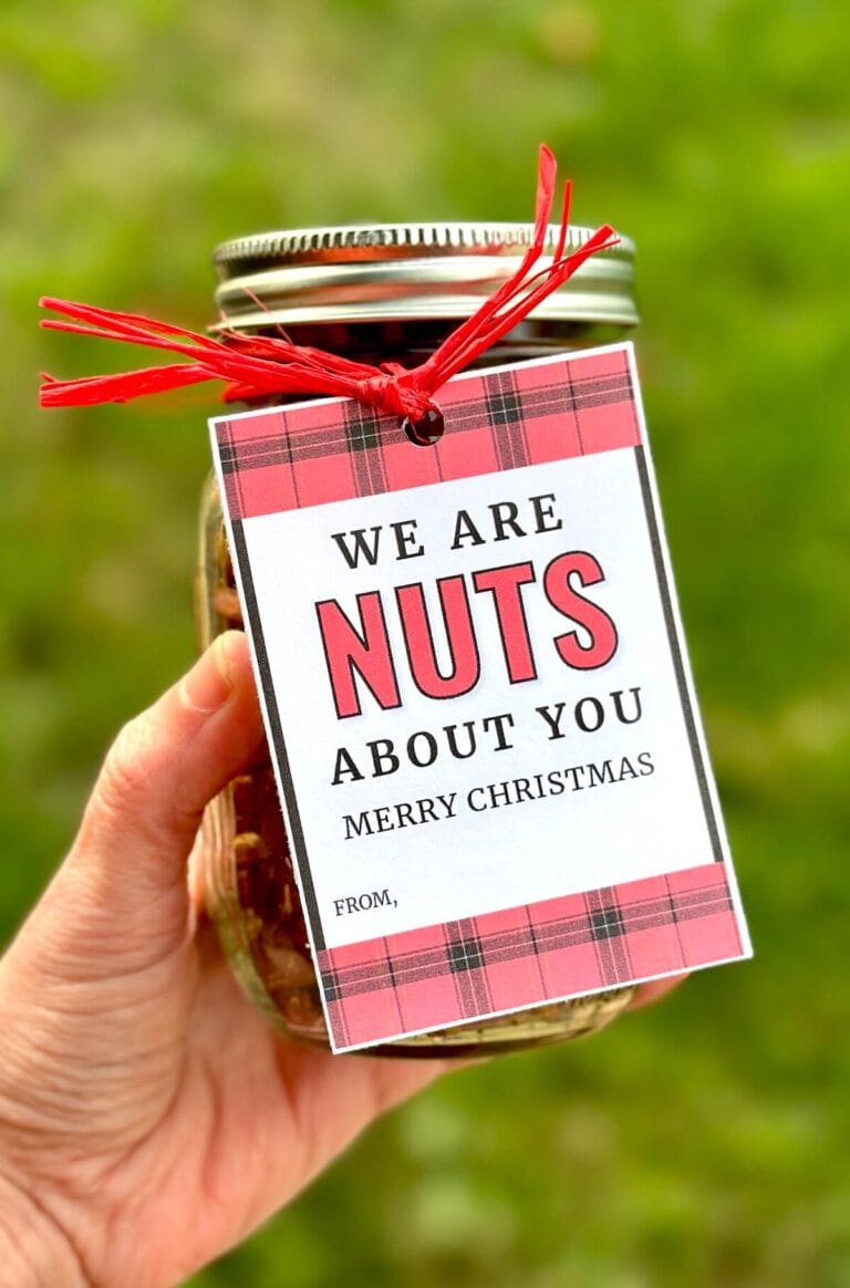 Free Printable "Nuts About You" Christmas Gift Tags