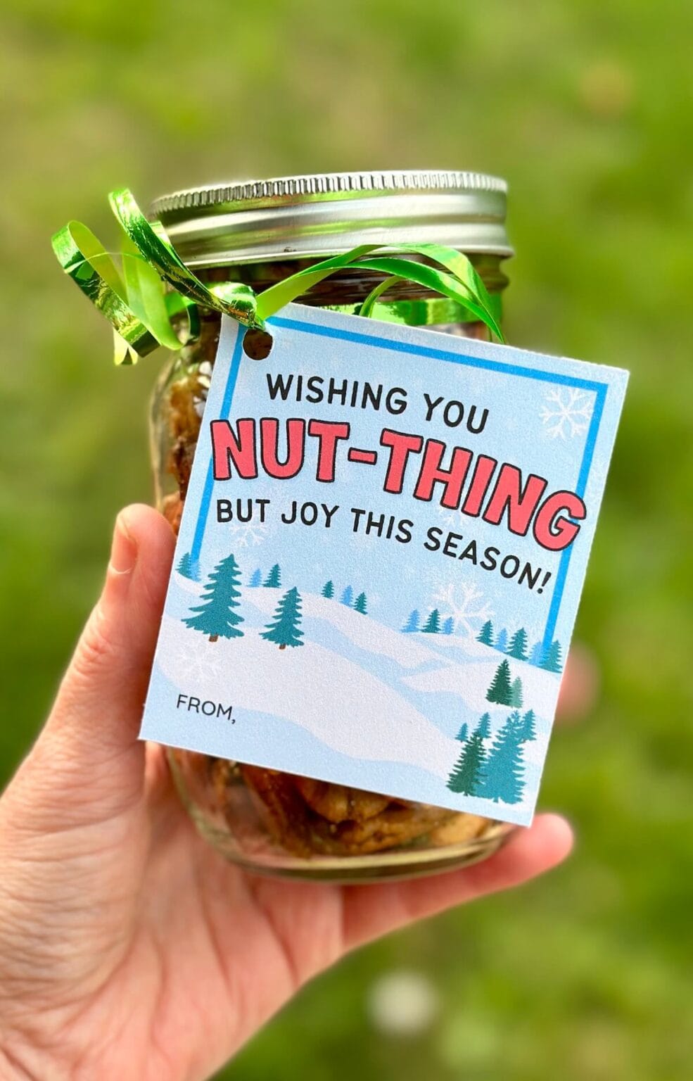 Free Printable "Nuts About You" Christmas Gift Tags