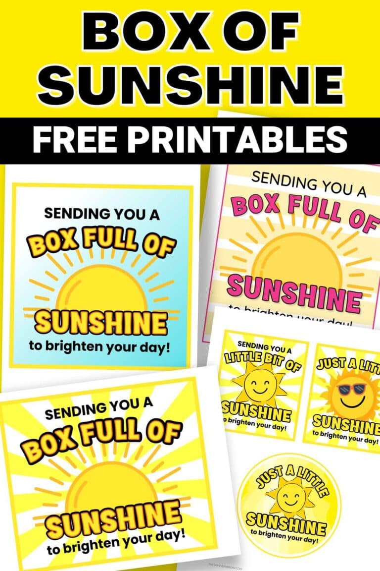 DIY Box of Sunshine Care Package with Free Printable Tags