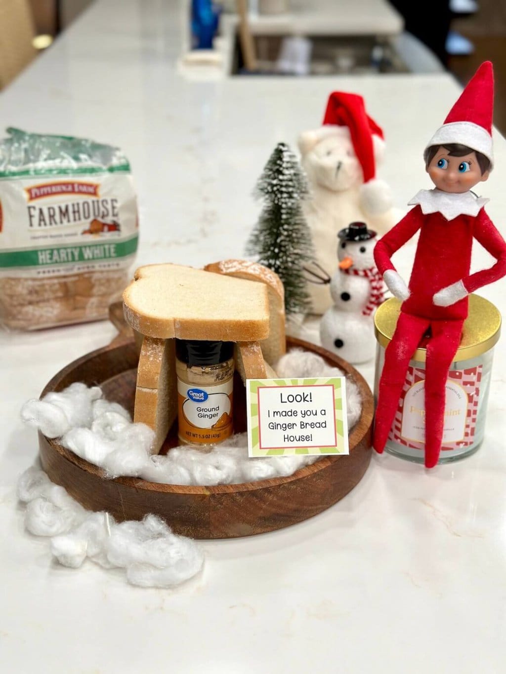 50 Easy Elf on the Shelf Ideas that Take Under 10 Minutes to Set Up!